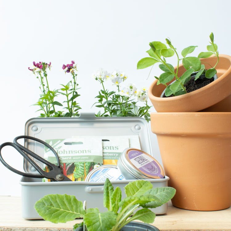 Online Shop for the Royal Botanic Garden Edinburgh – The Botanics Shop ...