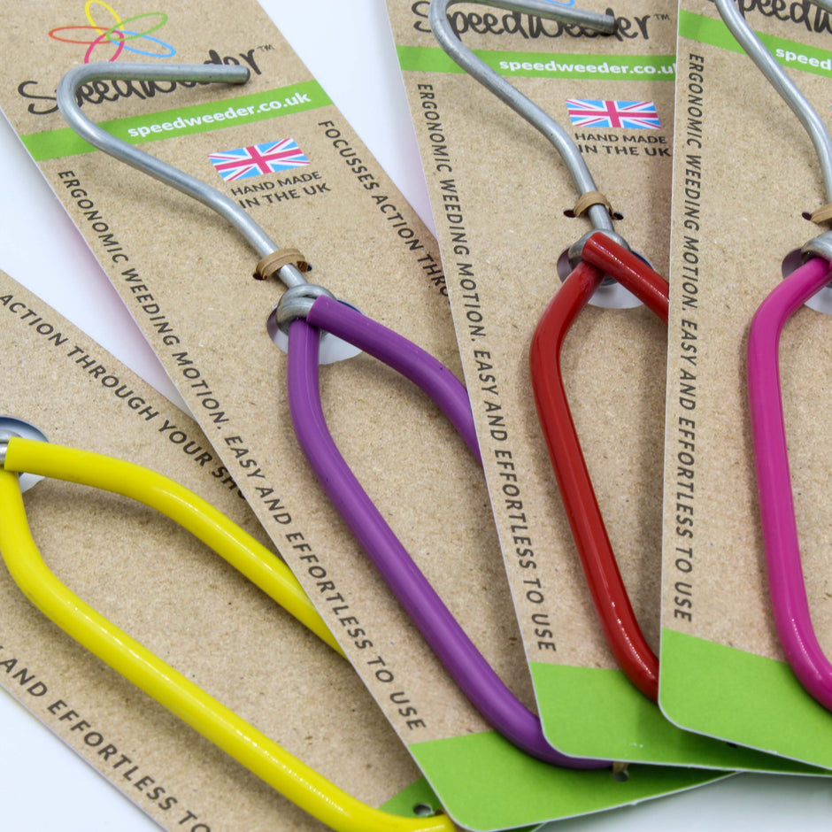 Online Shop for the Royal Botanic Garden Edinburgh – The Botanics Shop ...